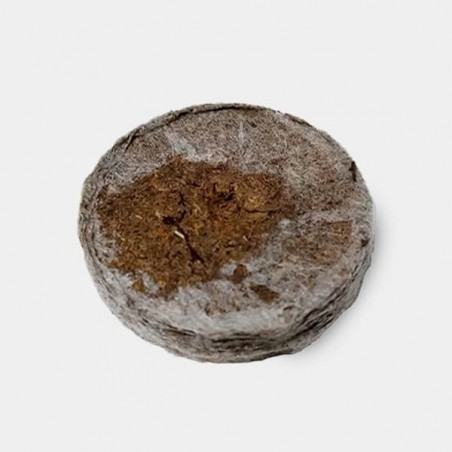 ¿Qué es la Turba? Cómo Usarla en Cultivo y Jardinería