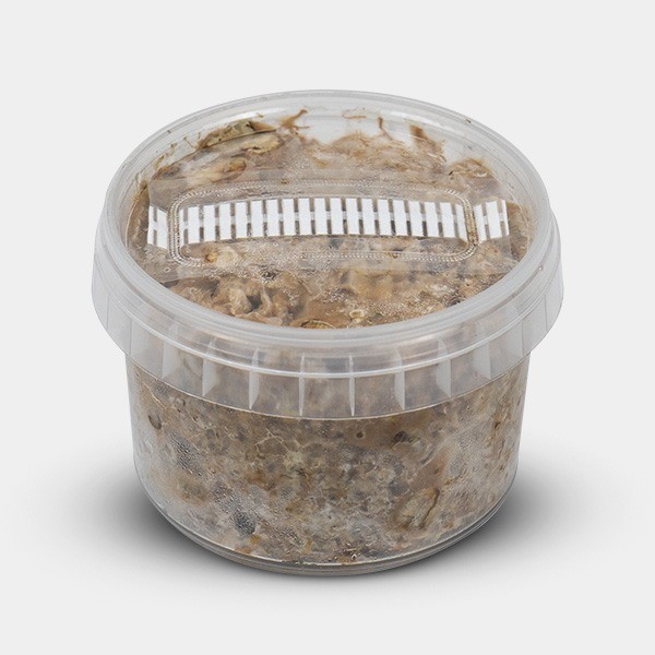 Atlantis Truffle Growing Kit - GB The Green Brand