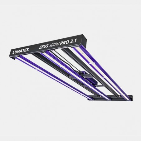 LED Zeus 300W Pro 3.1 Lumatek 💡 🟣- GB The Green Brand