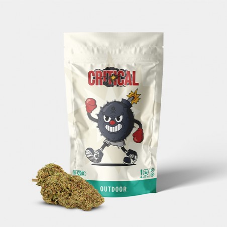Flores CBD GB Outdoor Critical + - GB The Green Brand