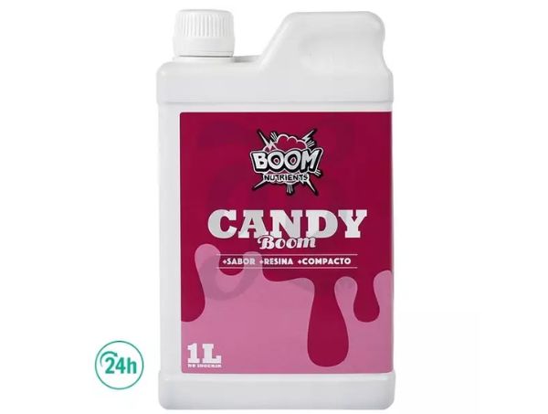 How to Grow Bigger Buds on Cannabis Plants - GrowBarato Blog