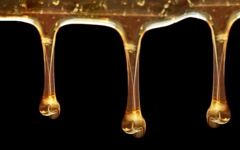 Rosin: qué es, cómo se extrae y cuáles son sus usos