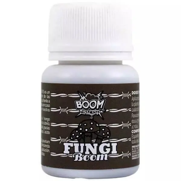 Botrytis treatment options to take care of your crop.