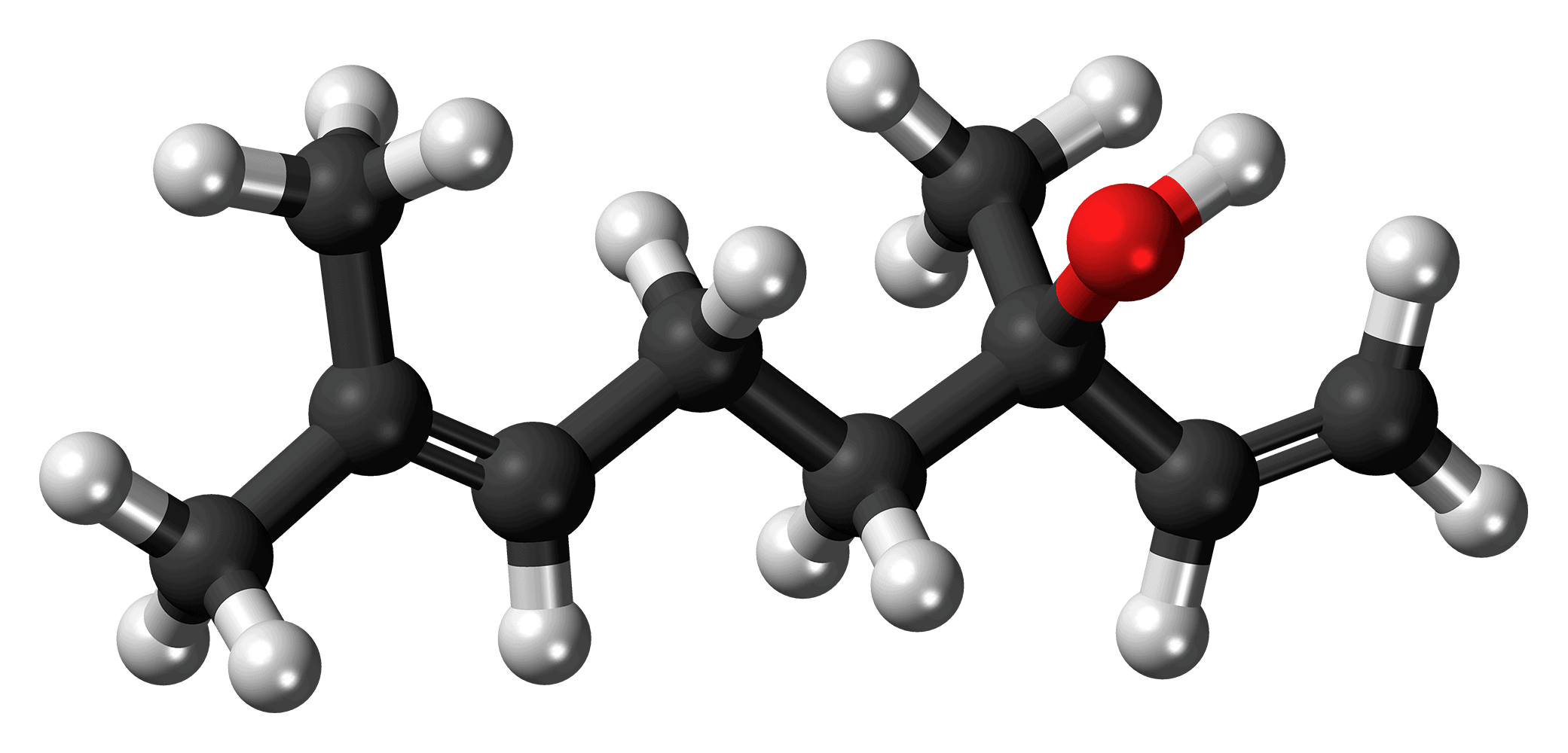 What are Terpenes in Cannabis and How do They Work