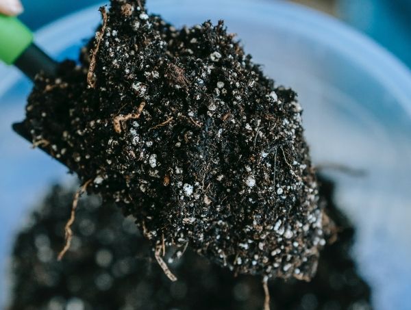 Perlita y vermiculita: ¿en qué se diferencian?