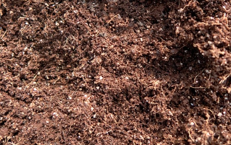 Que es un sustrato y cuál es el mejor para las plantas