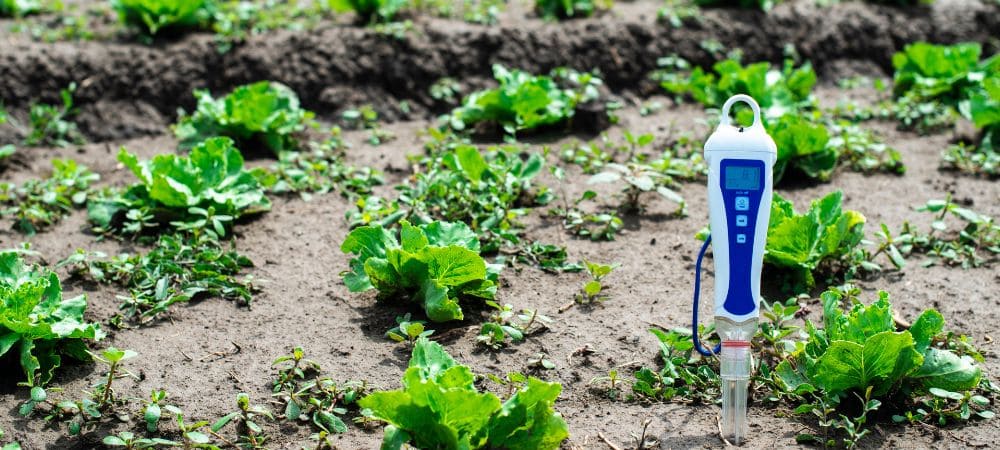 Acidifier le sol : astuces simples pour un pH parfait