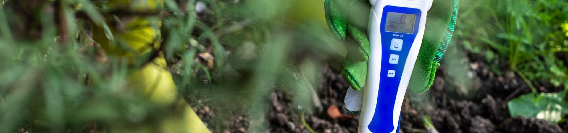 Acidifier le sol : astuces simples pour un pH parfait