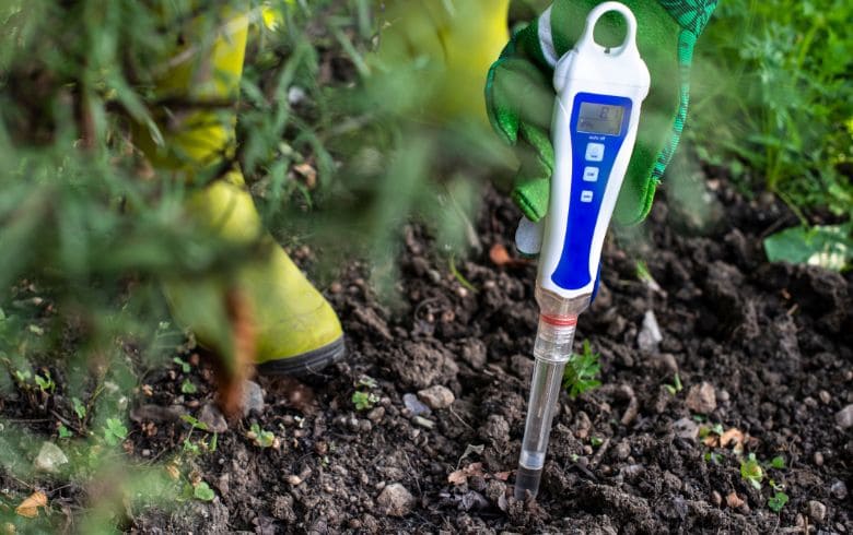 Acidifier le sol : astuces simples pour un pH parfait