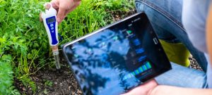 Comment rendre un sol acide naturellement : trucs et astuces